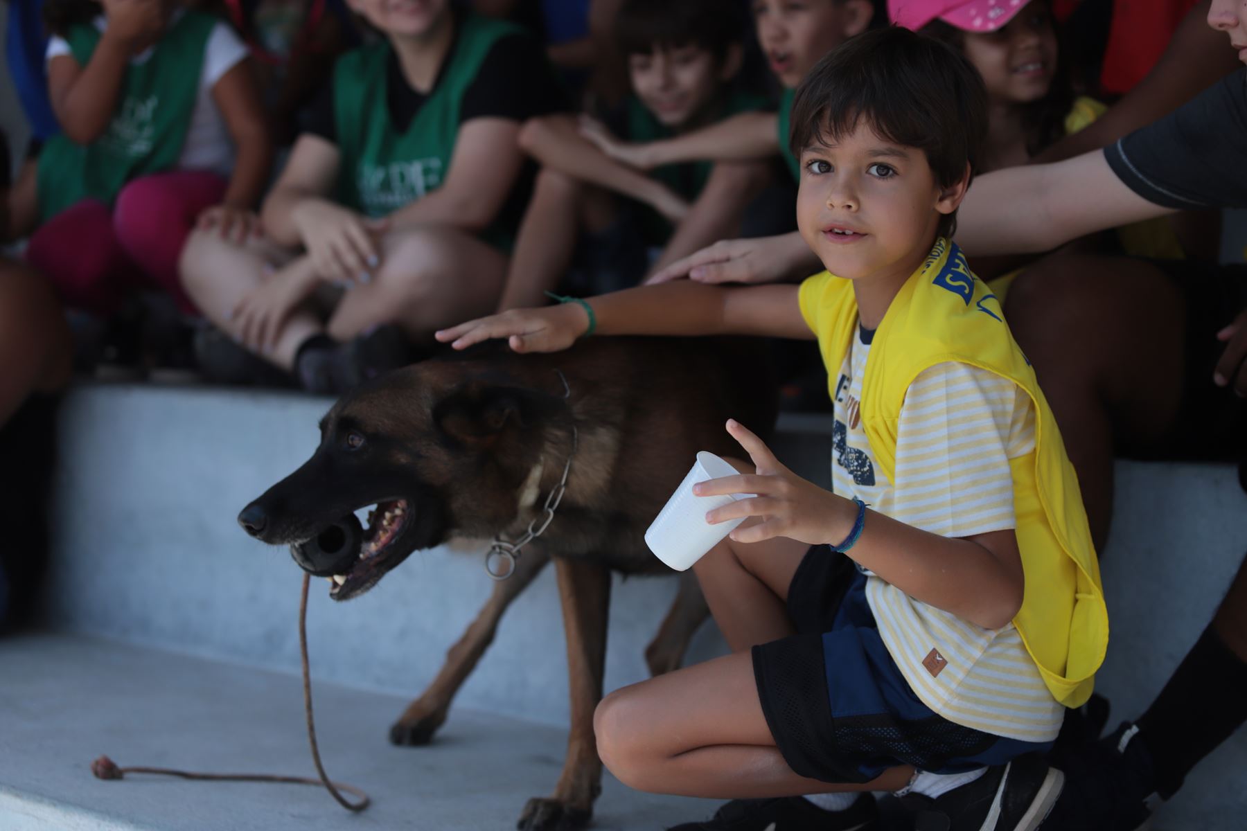 Portal PUC-Campinas » » IMG_7576