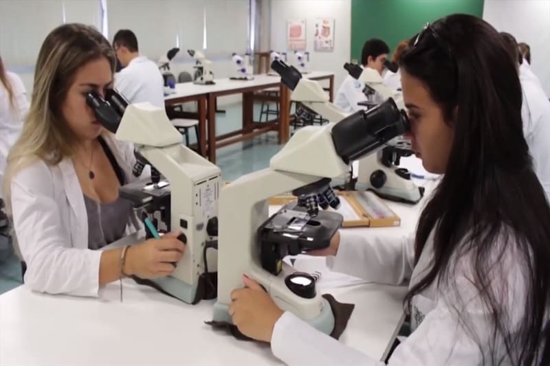 CCV – Centro de Ciências da Vida – Portal PUC-Campinas